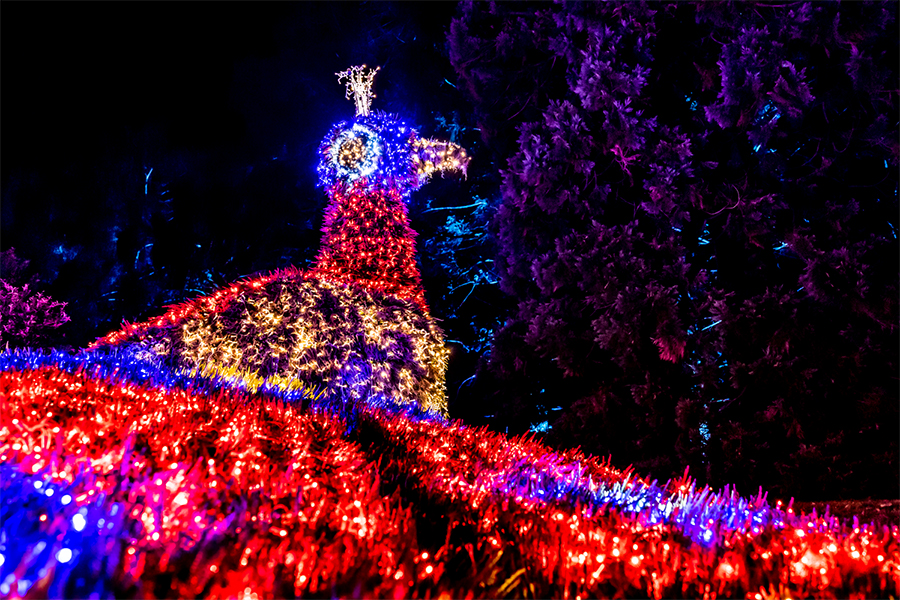 Christmas Garden Insel Mainau